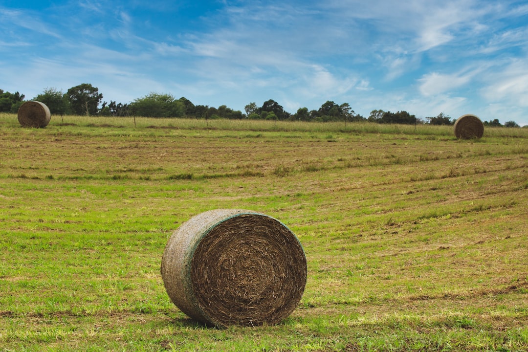 Improve Asset Uptime with iMaintain's Advanced Field Asset Management ...